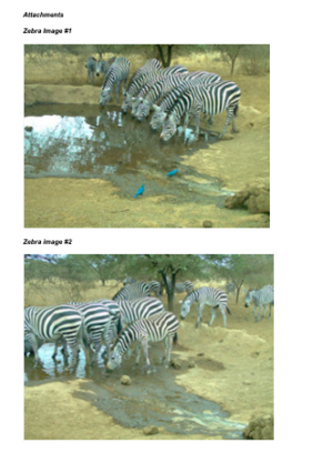 7th Science Lesson Ecosystem Relationships OAS 7.LS2.1 NGSS MS-LS2-1 ...