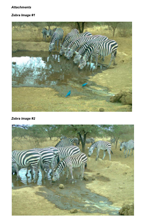 7th Science Lesson Ecosystem Relationships OAS 7.LS2.1 NGSS MS-LS2-1 ...