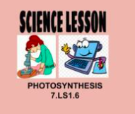 7th Science Lesson Photosynthesis OAS 7.LS1.6 NGSS MS-LS1-6 | Made By ...