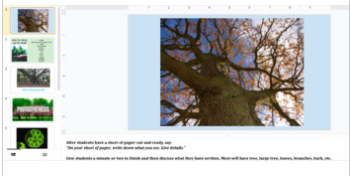 7th Science Lesson Photosynthesis OAS 7.LS1.6 NGSS MS-LS1-6 - Made By ...