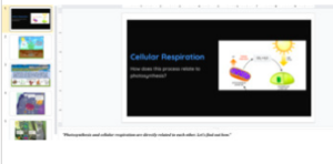 7th Life Science Lesson Plans Bundle OAS NGSS | Made By Teachers