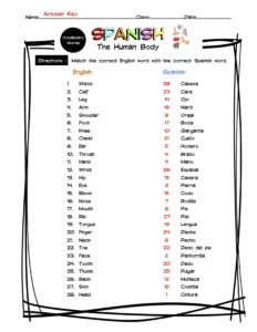 Spanish Human Body Vocabulary Matching Worksheet & Answer Key | Made By ...