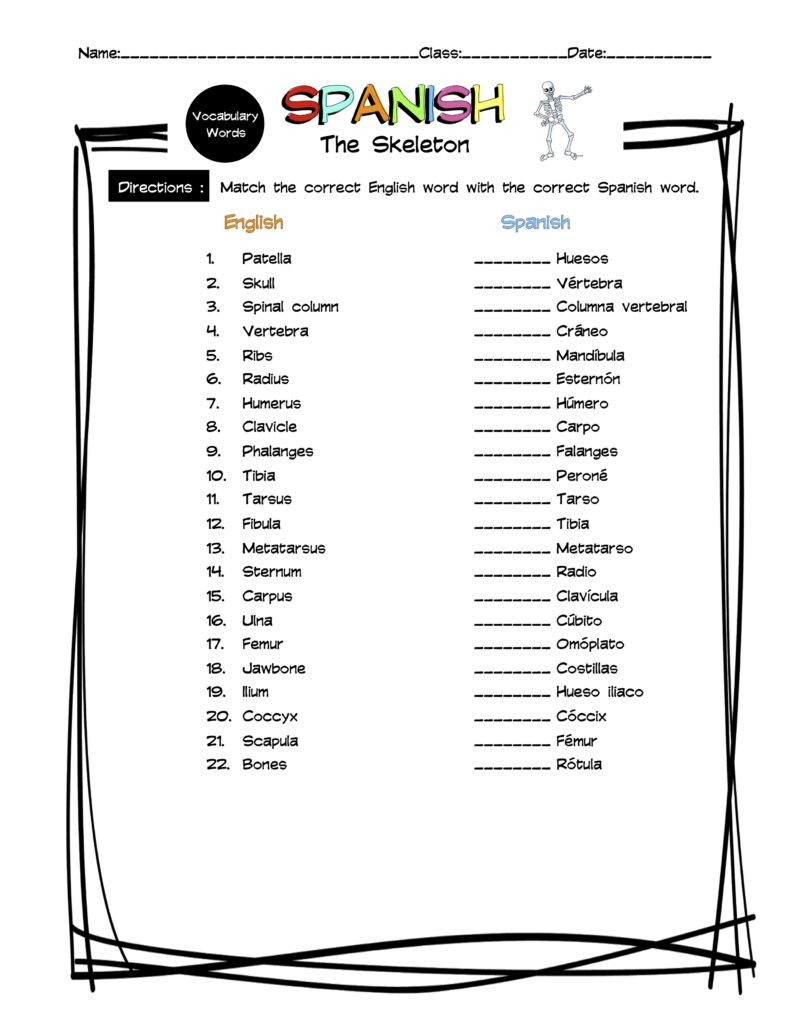 Spanish Skeleton Vocabulary Matching Worksheet & Answer Key | Made By ...