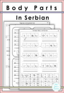Serbian Body Parts Vocabulary Worksheets and Activities | Made By Teachers