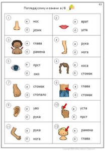 Serbian Body Parts Vocabulary Worksheets and Activities | Made By Teachers