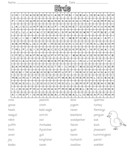 Birds Word Search | Made By Teachers