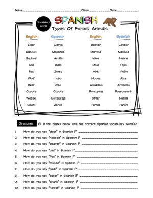 Spanish Types Of Sports Vocabulary Matching Worksheet & Answer Key ...