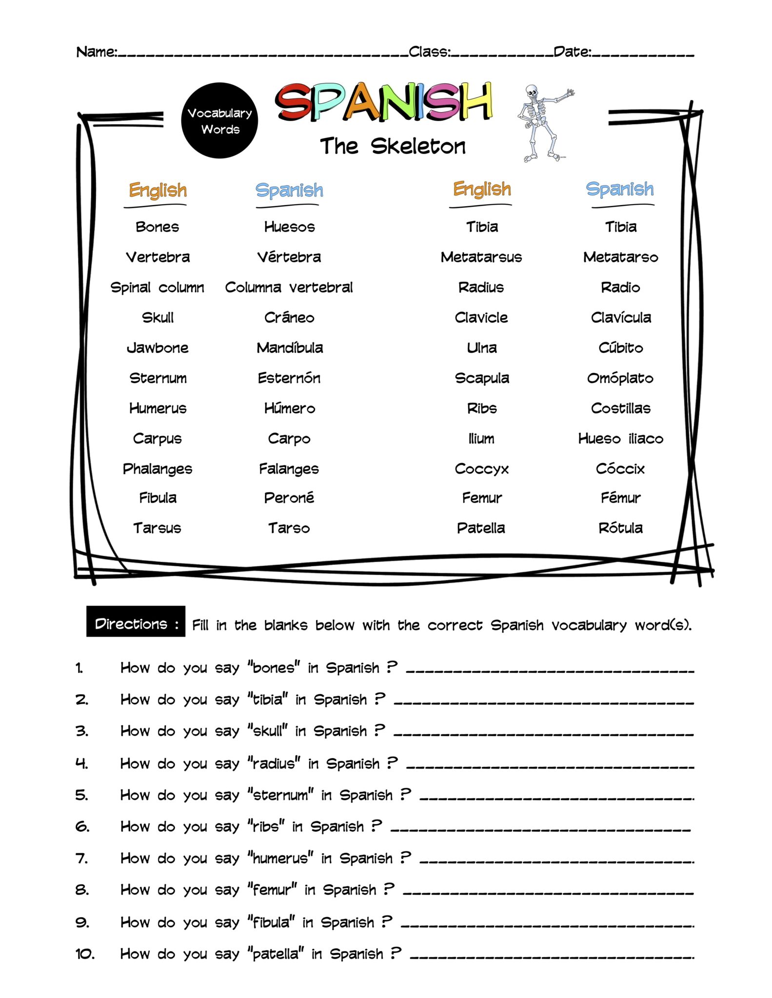 Spanish The Skeleton Vocabulary Word List Worksheet & Answer Key | Made ...