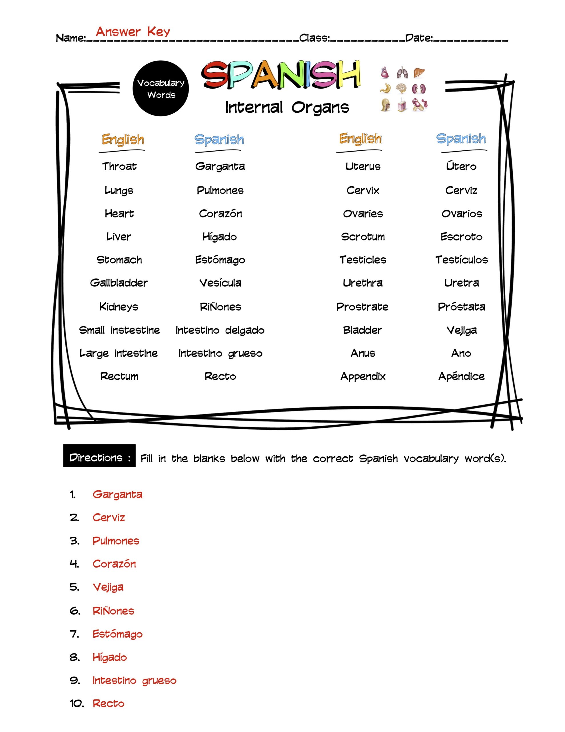 Spanish Internal Organs Vocabulary Word List Worksheet & Answer Key ...