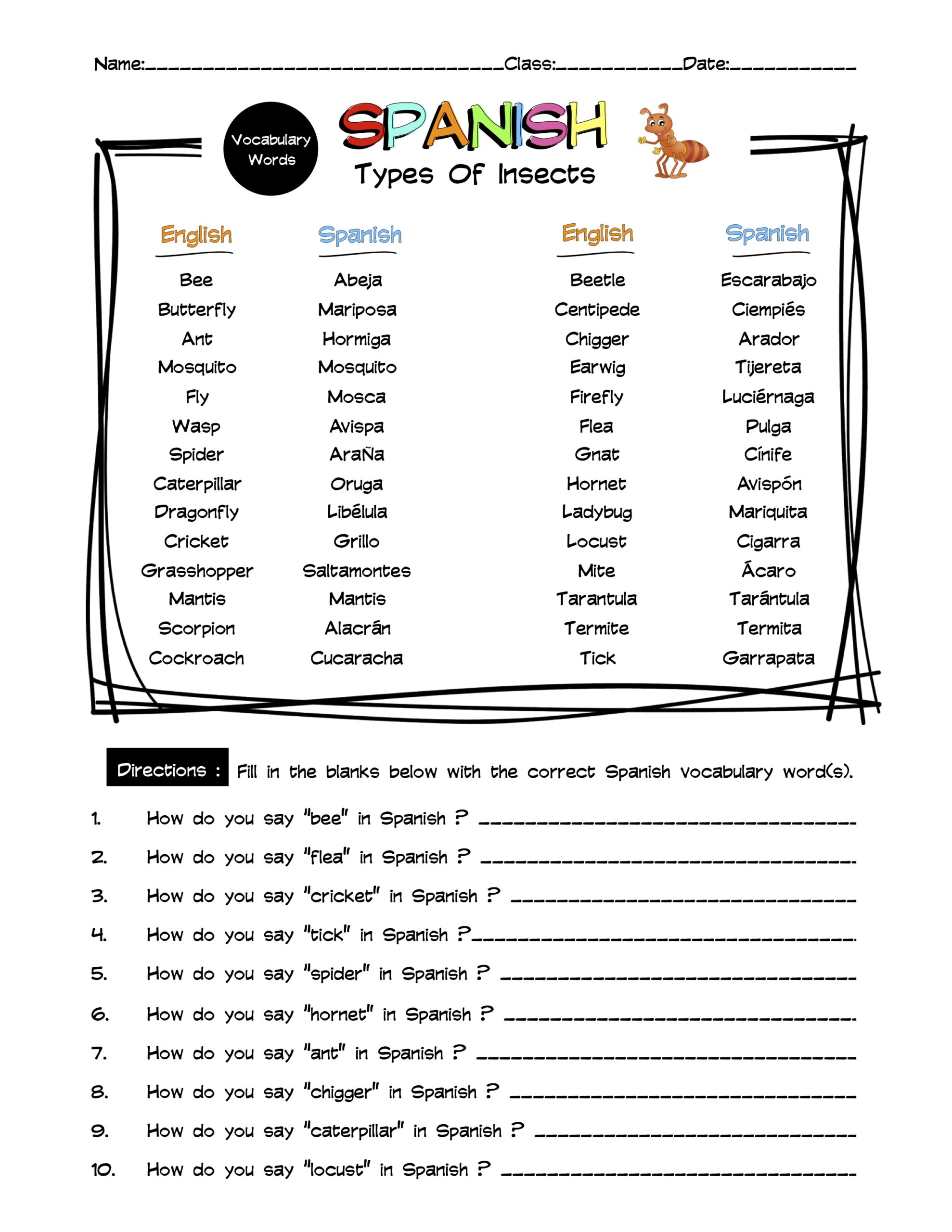 Spanish Insects Vocabulary Word List Worksheet & Answer Key | Made By ...