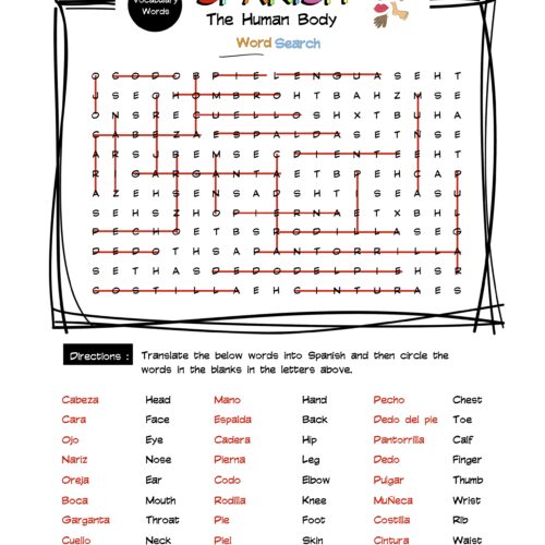Spanish The Human Body Vocabulary Word Search & Answer Key | Made By ...
