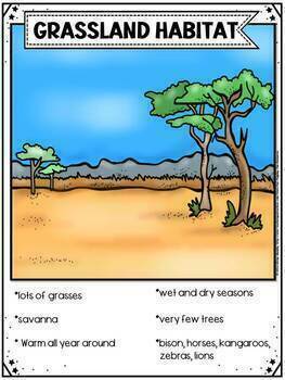 habitat posters | Made By Teachers