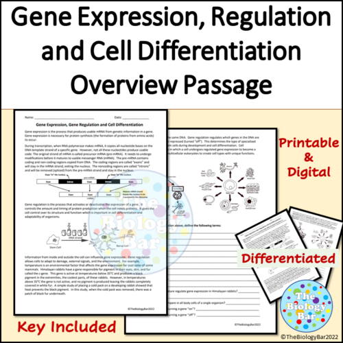 Gene Expression Gene Regulation Cell Differentiation Introduction ...