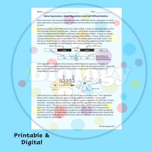 Gene Expression Gene Regulation Cell Differentiation Introduction ...