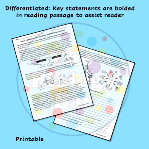Gene Expression Gene Regulation Cell Differentiation Introduction ...