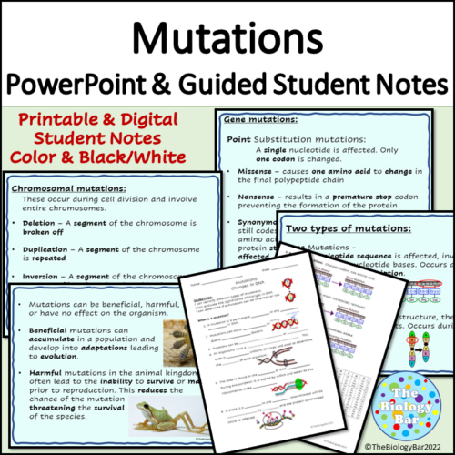 DNA Mutations PPT and Student Guided Notes | Made By Teachers