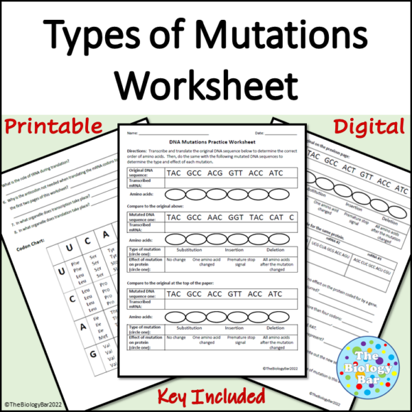 Mutation Practice Worksheet Printable and Digital | Made By Teachers
