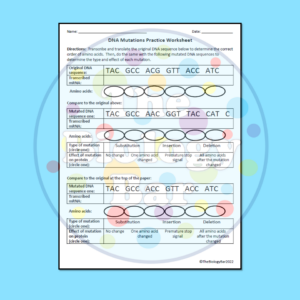 Mutation Practice Worksheet Printable and Digital - Made By Teachers
