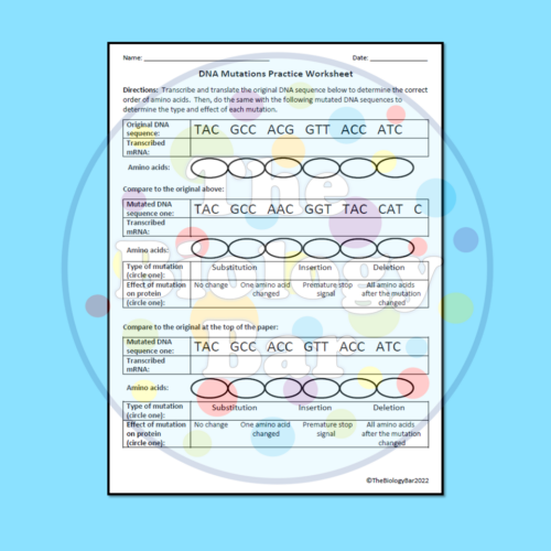 Mutation Practice Worksheet Printable and Digital | Made By Teachers