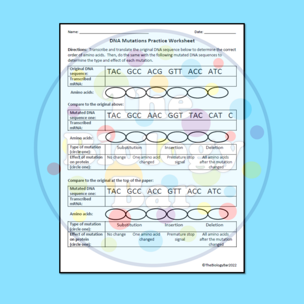 Mutation Practice Worksheet Printable and Digital | Made By Teachers