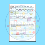 Mutation Practice Worksheet Printable and Digital - Made By Teachers