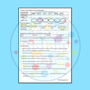 Mutation Practice Worksheet Printable and Digital - Made By Teachers