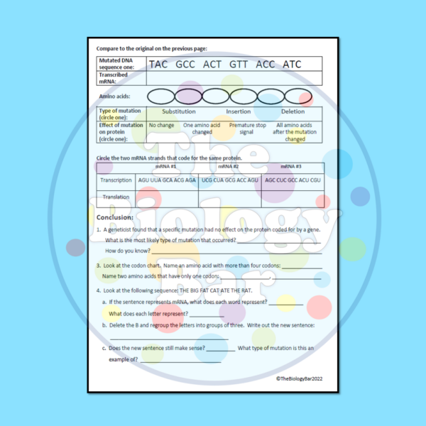 Mutation Practice Worksheet Printable and Digital | Made By Teachers