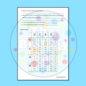 Mutation Practice Worksheet Printable and Digital - Made By Teachers