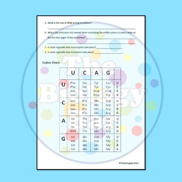 Mutation Practice Worksheet Printable and Digital | Made By Teachers