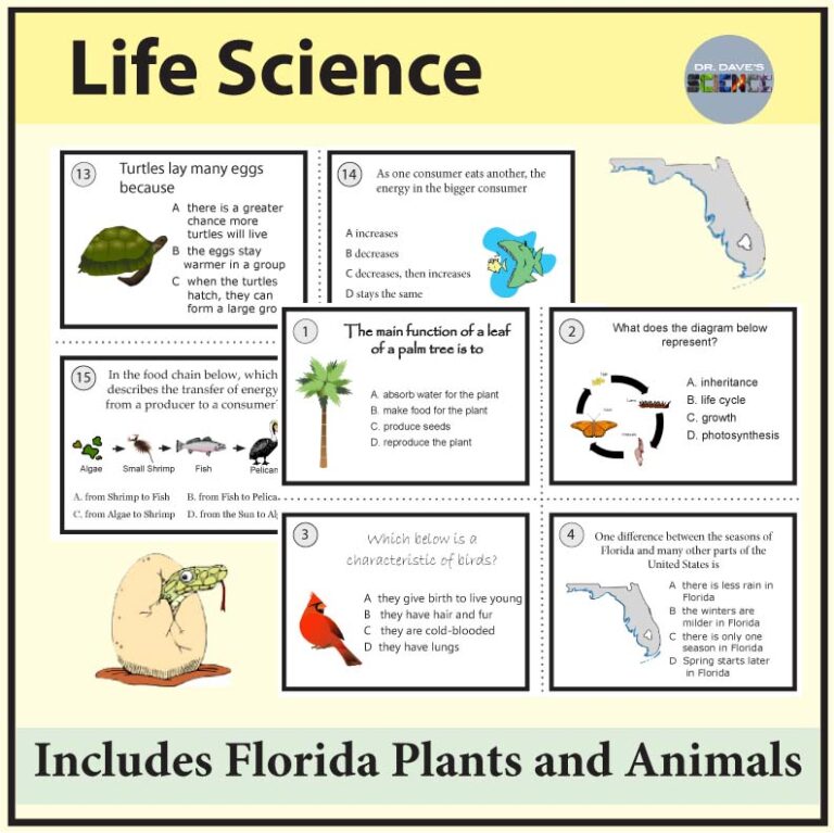 Florida SSA Science Review and Task Cards Life Science 5th grade | Made ...