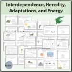 Florida SSA Science Review and Task Cards Life Science 5th grade | Made ...