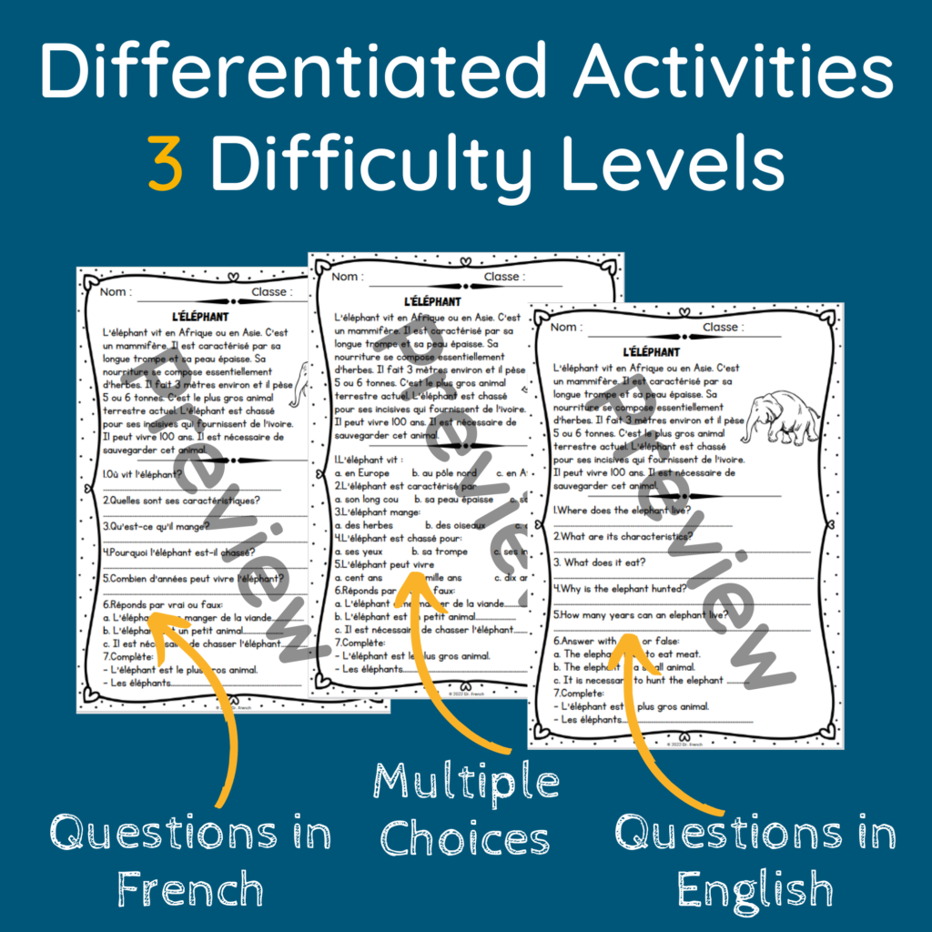 L'Éléphant. French Reading Comprehension Activity For Beginners. Les ...