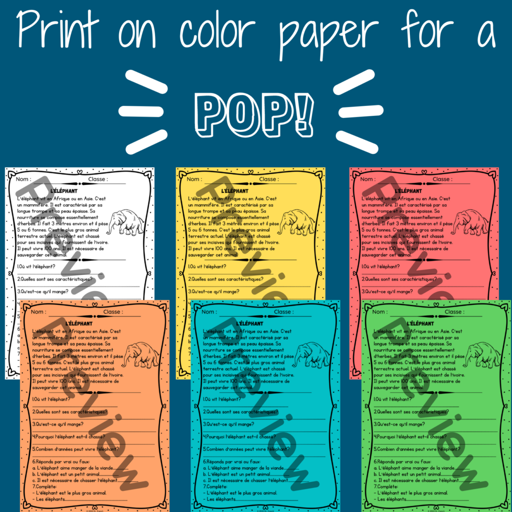 L'Éléphant. French Reading Comprehension Activity For Beginners. Les ...