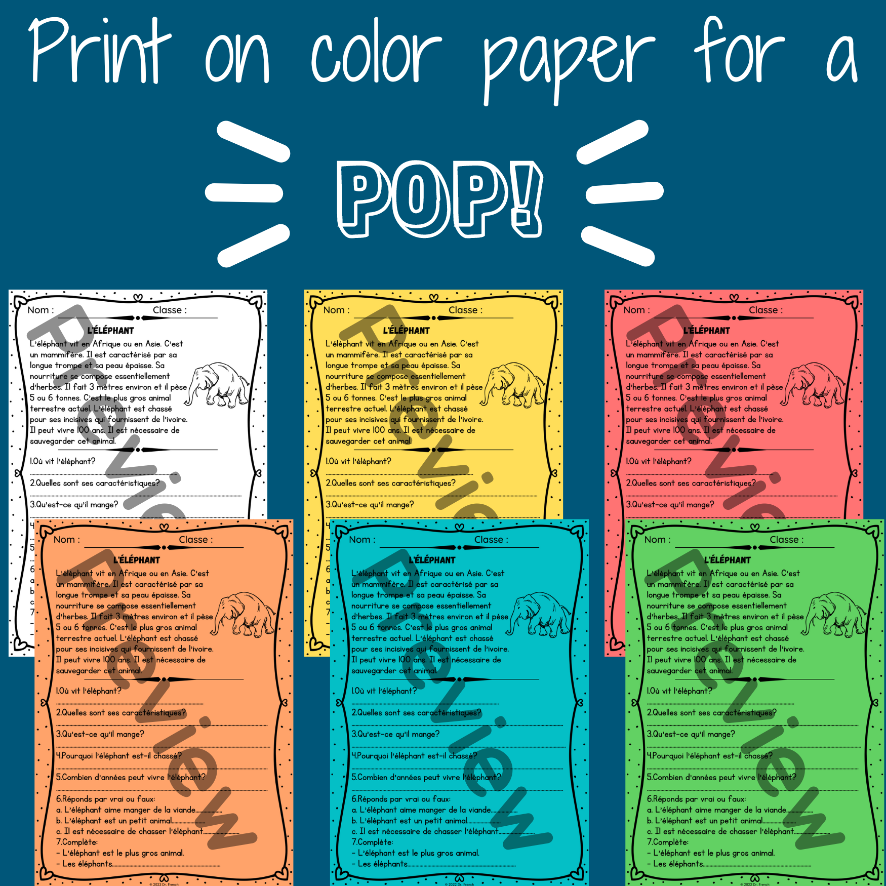 L'Éléphant. French Reading Comprehension Activity For Beginners. Les ...