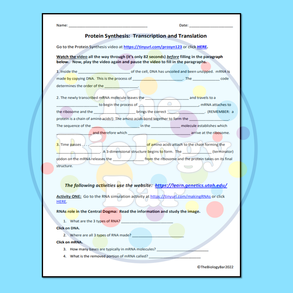 Protein Synthesis Internet Activities Digital and Printable | Made By ...