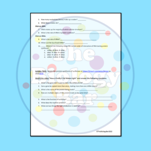 Protein Synthesis Internet Activities Digital and Printable | Made By ...