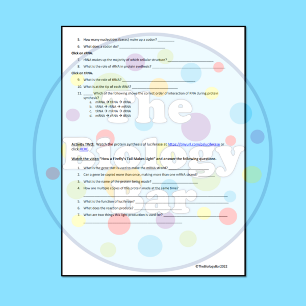 Protein Synthesis Internet Activities Digital and Printable | Made By ...
