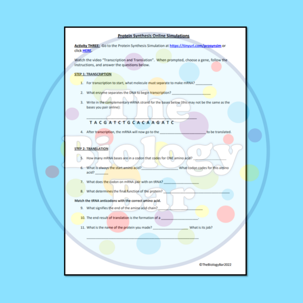 Protein Synthesis Internet Activities Digital and Printable | Made By ...