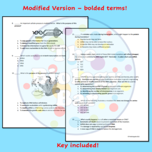 Protein Synthesis and Mutations Review and Test Modified and Digital ...
