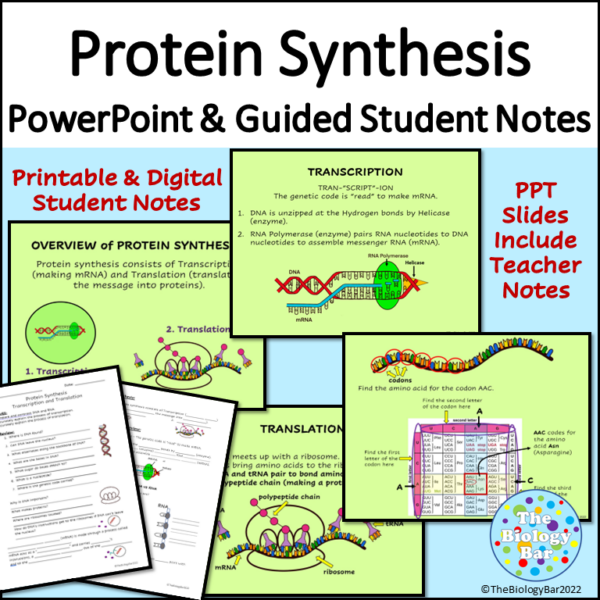Protein Synthesis PPT & Student Notes digital too | Made By Teachers
