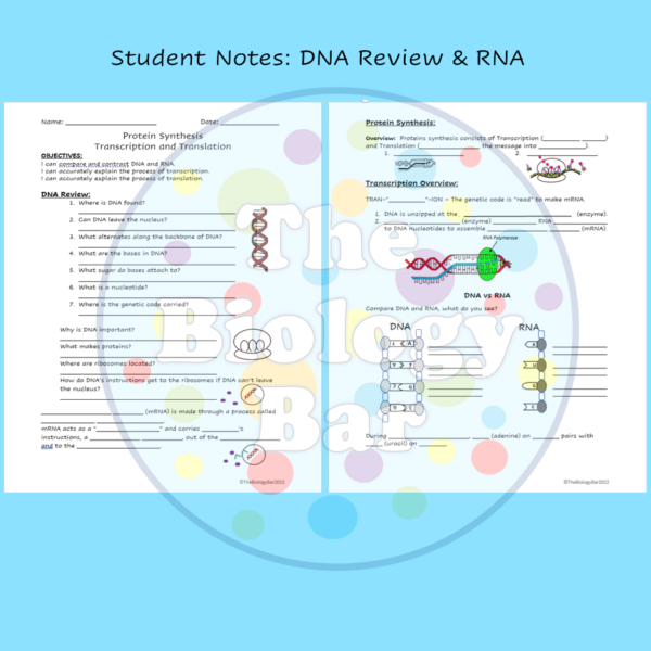 Protein Synthesis PPT & Student Notes digital too - Made By Teachers
