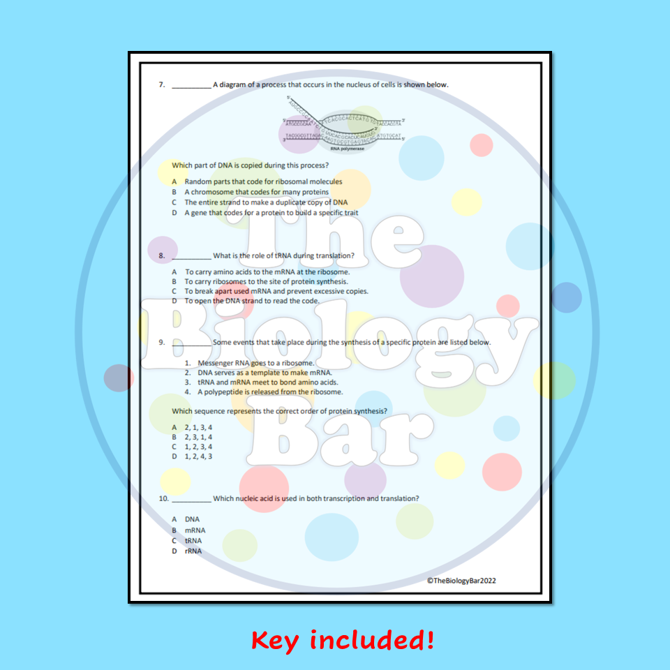 Protein Synthesis Quiz printable and digital | Made By Teachers