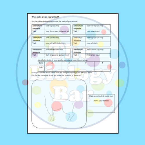 Protein Synthesis to Determine and Draw Traits for Your Animal | Made ...