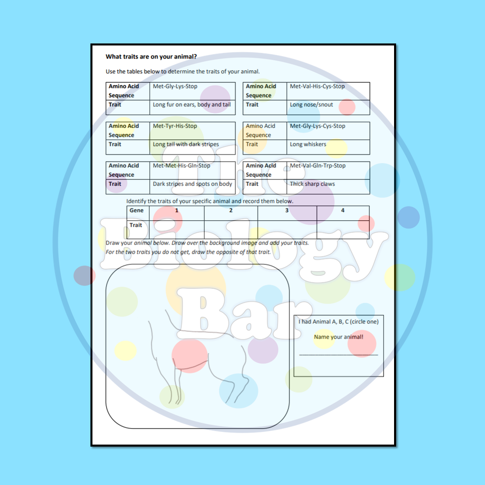 Protein Synthesis to Determine and Draw Traits for Your Animal | Made ...