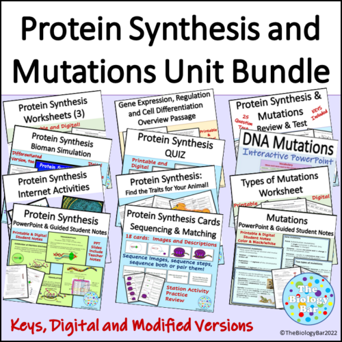 Protein Synthesis and Mutations Biology Unit Bundle | Made By Teachers