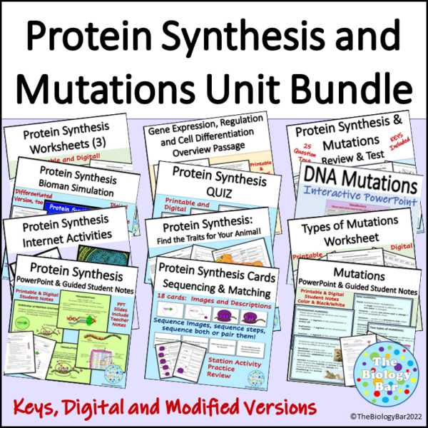 Protein Synthesis and Mutations Biology Unit Bundle | Made By Teachers