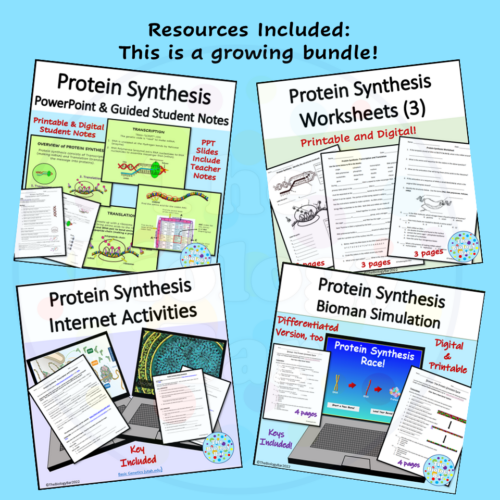 Protein Synthesis and Mutations Biology Unit Bundle - Made By Teachers