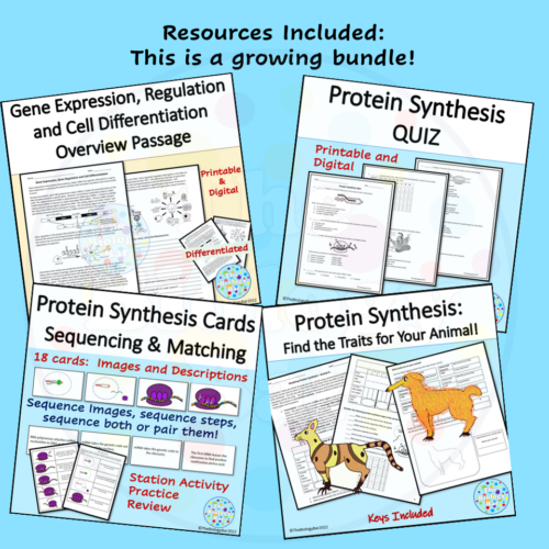 Protein Synthesis and Mutations Biology Unit Bundle | Made By Teachers