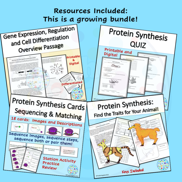 Protein Synthesis and Mutations Biology Unit Bundle - Made By Teachers
