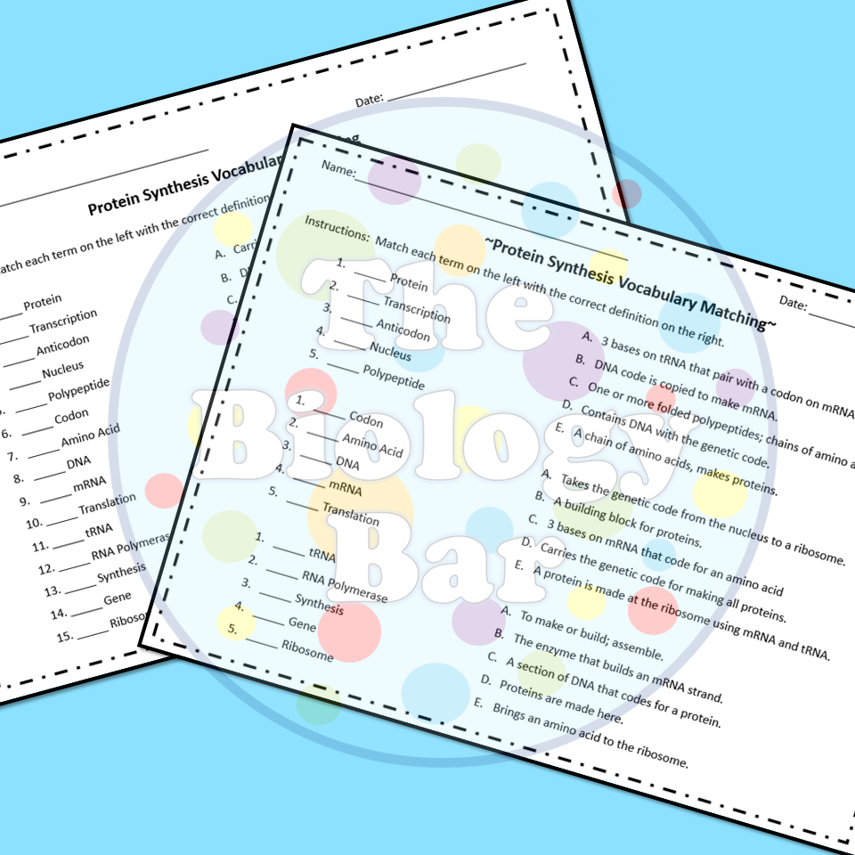 Protein Synthesis Vocabulary Amino Acid Chain | Made By Teachers